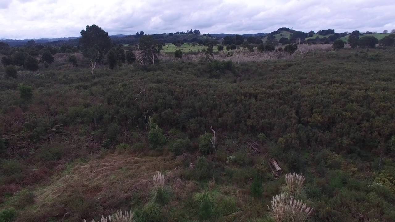 Ron Drone Video - YouTube