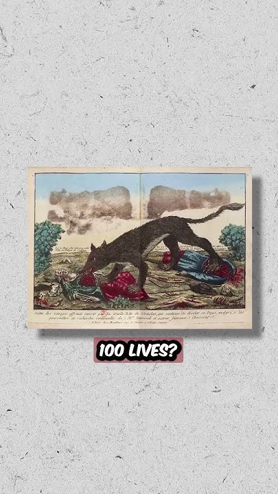 The Beast of Gevaudan, a French werewolf? #cryptids #mystery #shorts ...