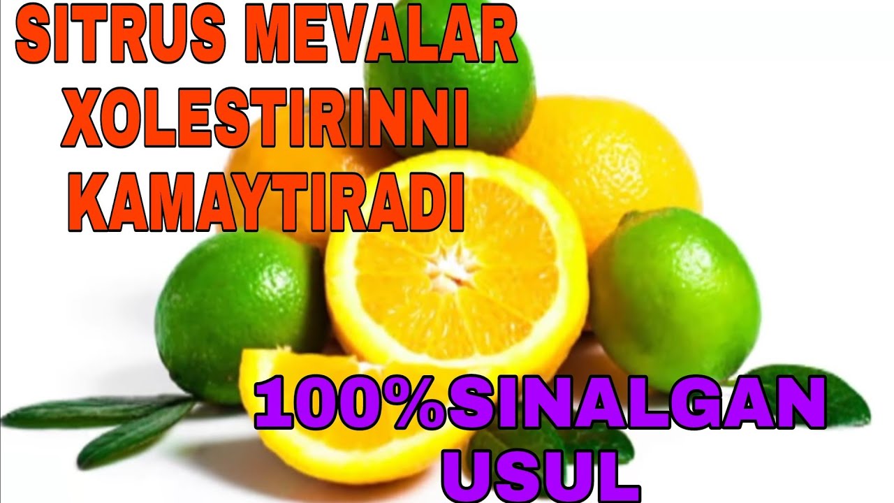 SITRUS MEVALAR XOLESTIRINNI KAMAYTIRADI ЦИТРУС МЭВАЛАР ХОЛЭСТИРИННИ ...
