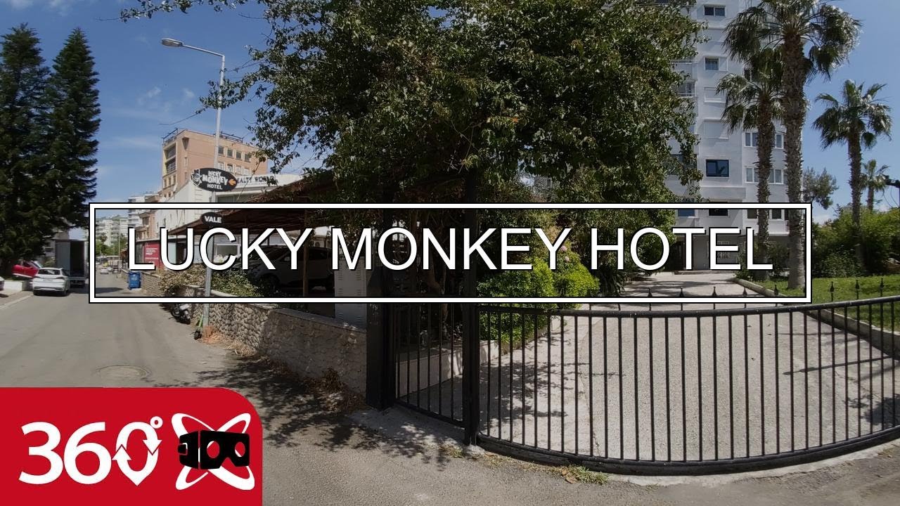 LUCKY MONKEY HOTEL | This is 360 VR Video - YouTube
