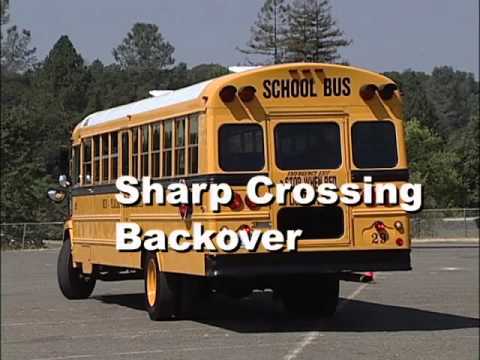 School Bus Backing Up
