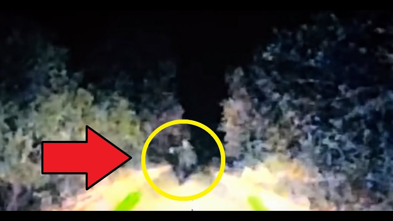 SHOCKING BIGFOOT CAUGHT ON VIDEO!! - Scared Man Has A Real Scary ...