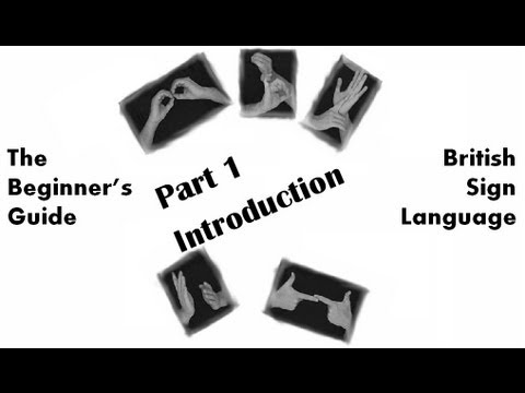 The Beginner's Guide - BSL - Part 1 Introdiction - YouTube
