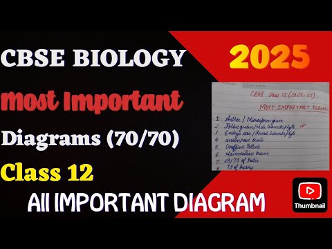 CBSE Class 12 Biology |Most Important Diagrams for Boards | ISC ...
