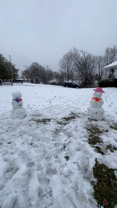 Who Will Win? #shorts #snowman #funny - YouTube