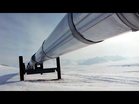 Final Oil Production Levels Update of 2024 - YouTube