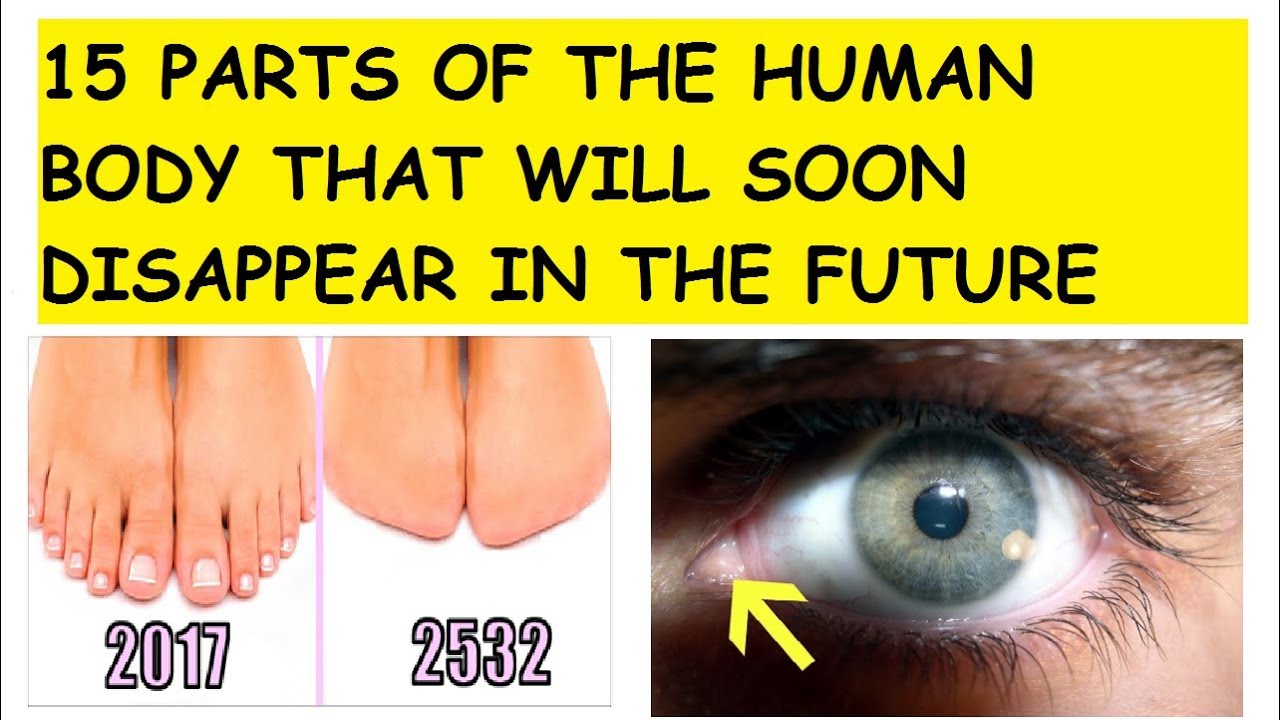 15 PARTS OF THE HUMAN BODY THAT WILL SOON DISAPPEAR IN THE FUTURE - YouTube