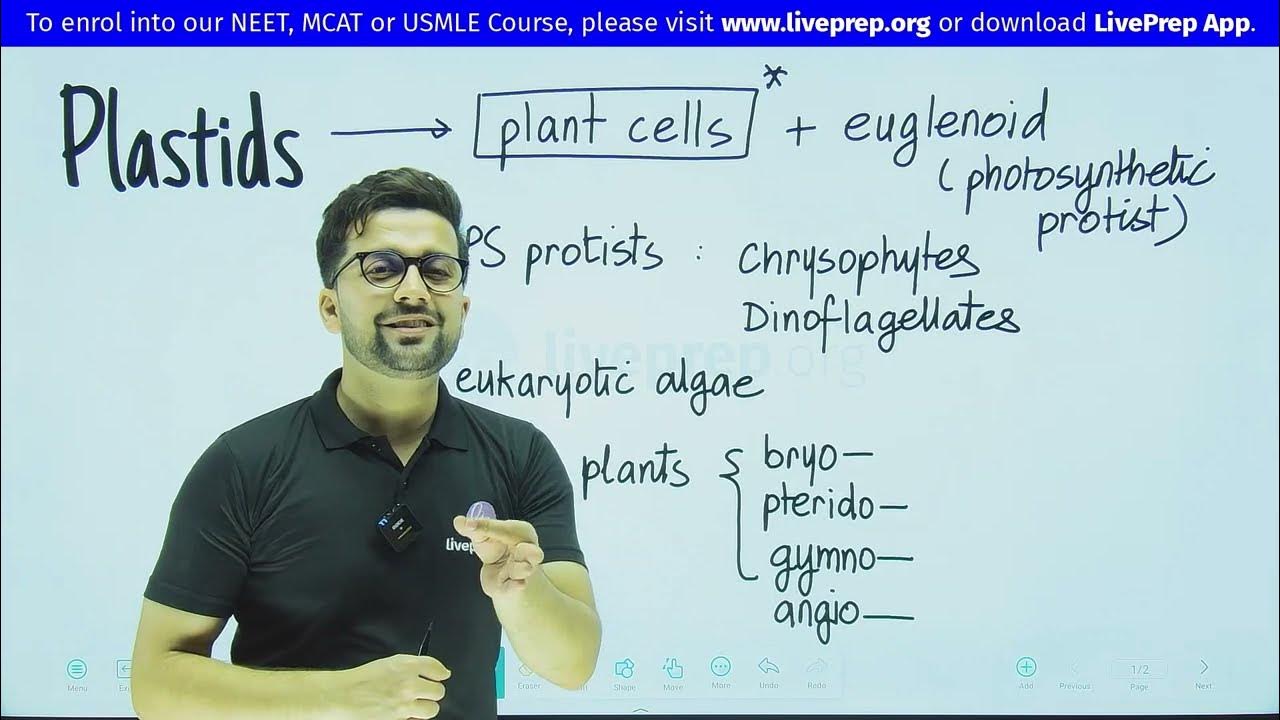 Plastids (Chloroplast) - Cell Unit of Life - Class XI NEET Biology Lecture by Wamiq Sir - YouTube