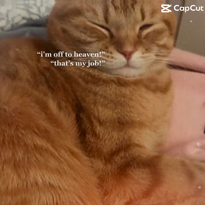 I miss you Garfield ️ - YouTube