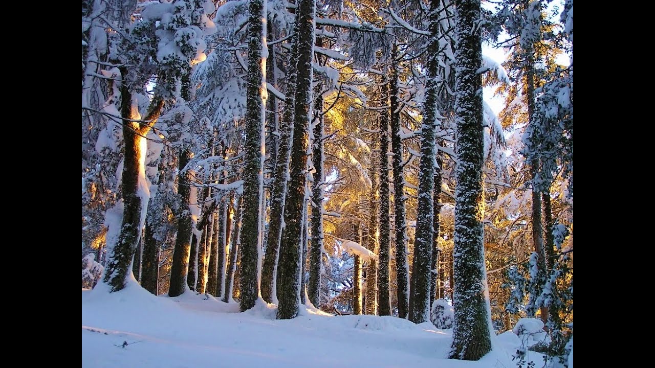 A Winter Walk in Ifrane - YouTube