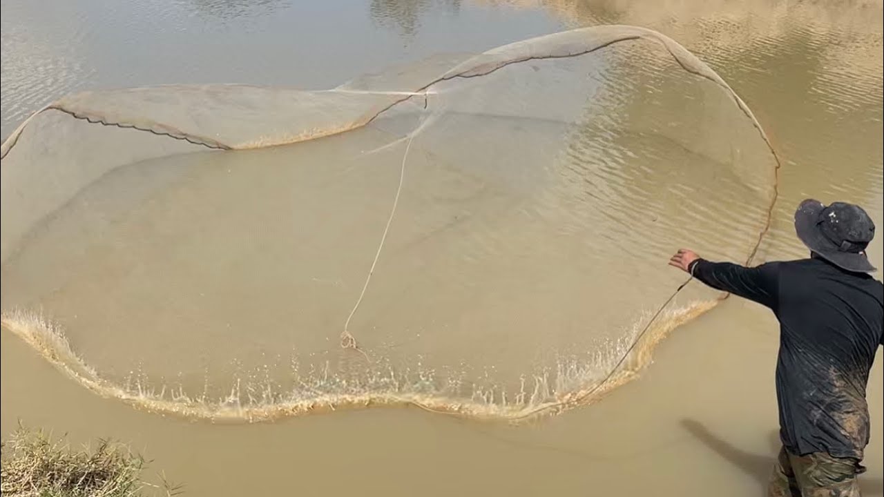 Best Fishing Net Video in the Lake ~ catching fishing Village by ...