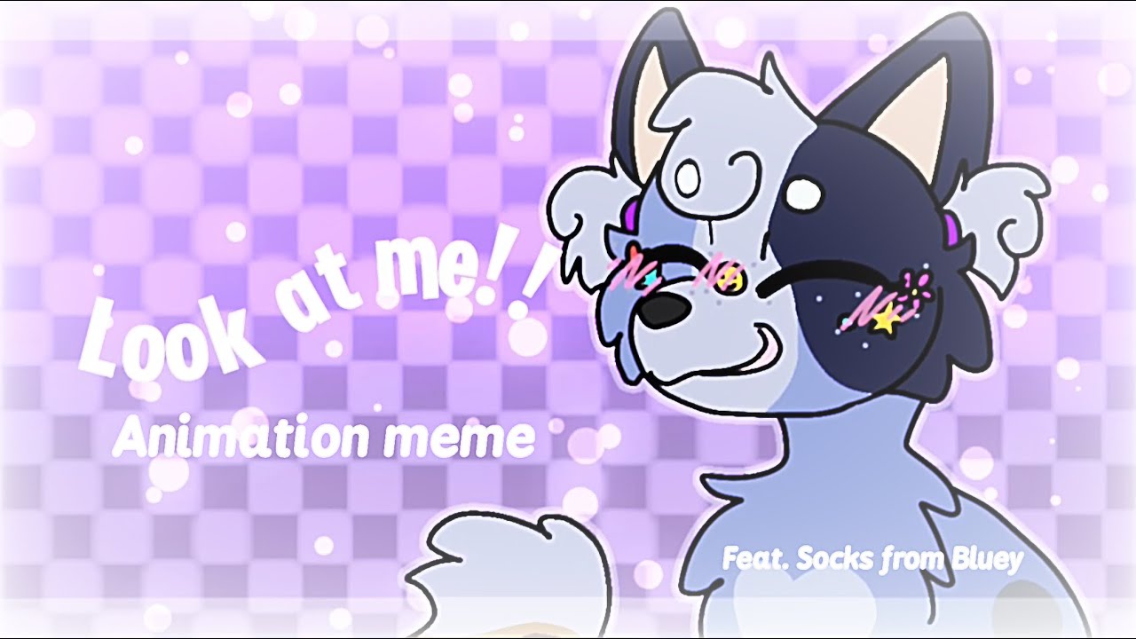 Look At Me!! | Feat. Socks (Bluey) | Animation Meme - YouTube