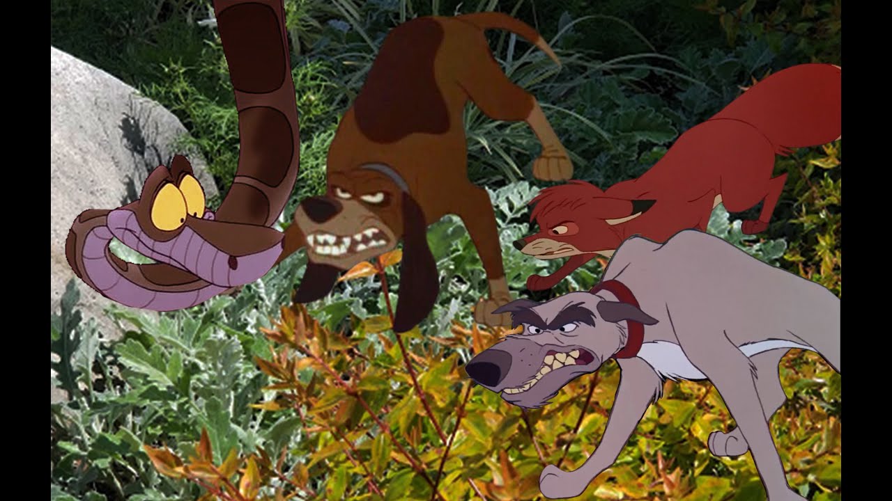 Tod, Copper and Chief confronts Kaa - YouTube