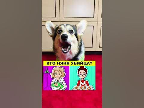 СМЕШНЫЕ ЖИВОТНЫЕ | ГОЛОВОЛОМКА ИГРА | КТО НЯНЯ УБИЙЦА? - YouTube