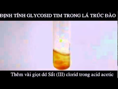 glycosid tim - Keller Kiliani - YouTube