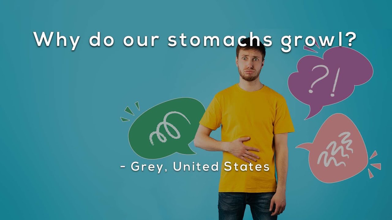Why do our stomachs growl? - YouTube