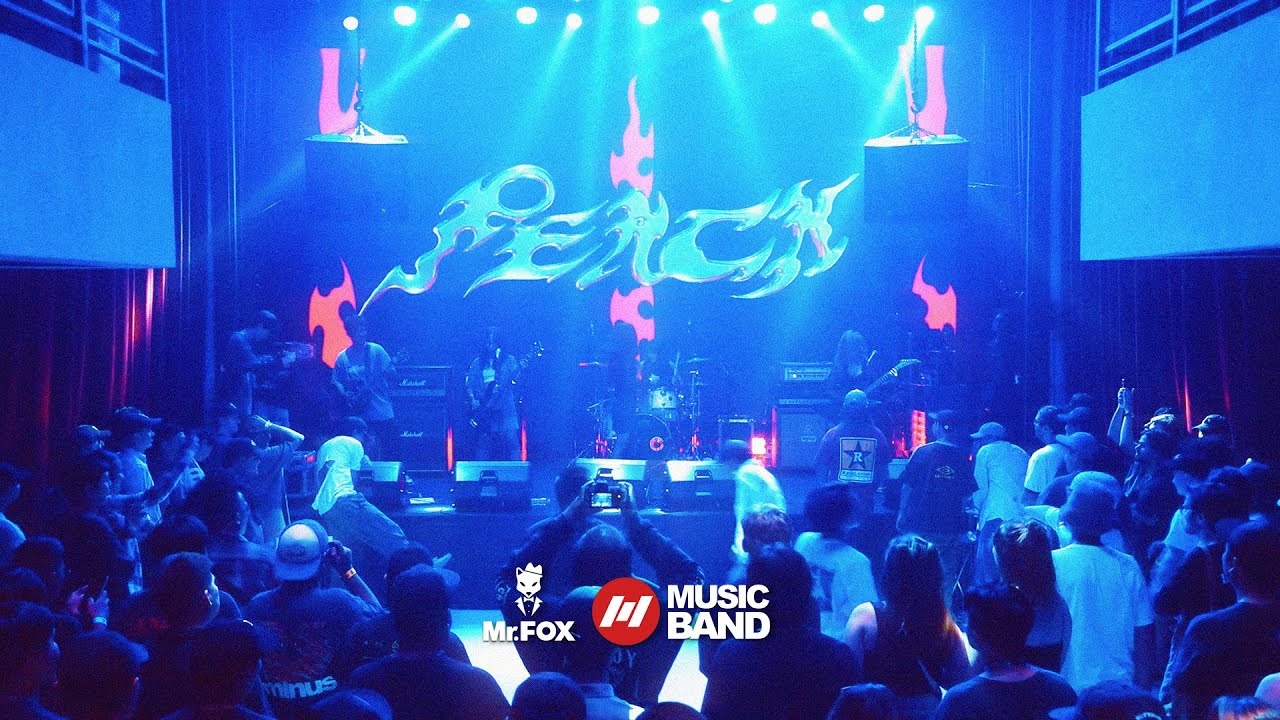 Perck | Concert Fiddle Head | Mr.FOX Live House - YouTube