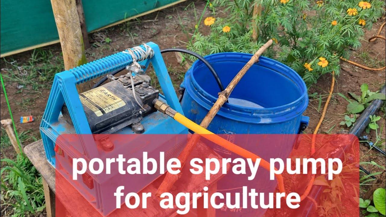 portable sprayer | chargeable spray pump| spicy chilli 🌶 | chilli farm ...