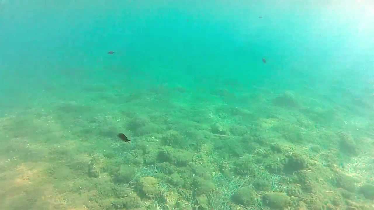 underwater relax - YouTube