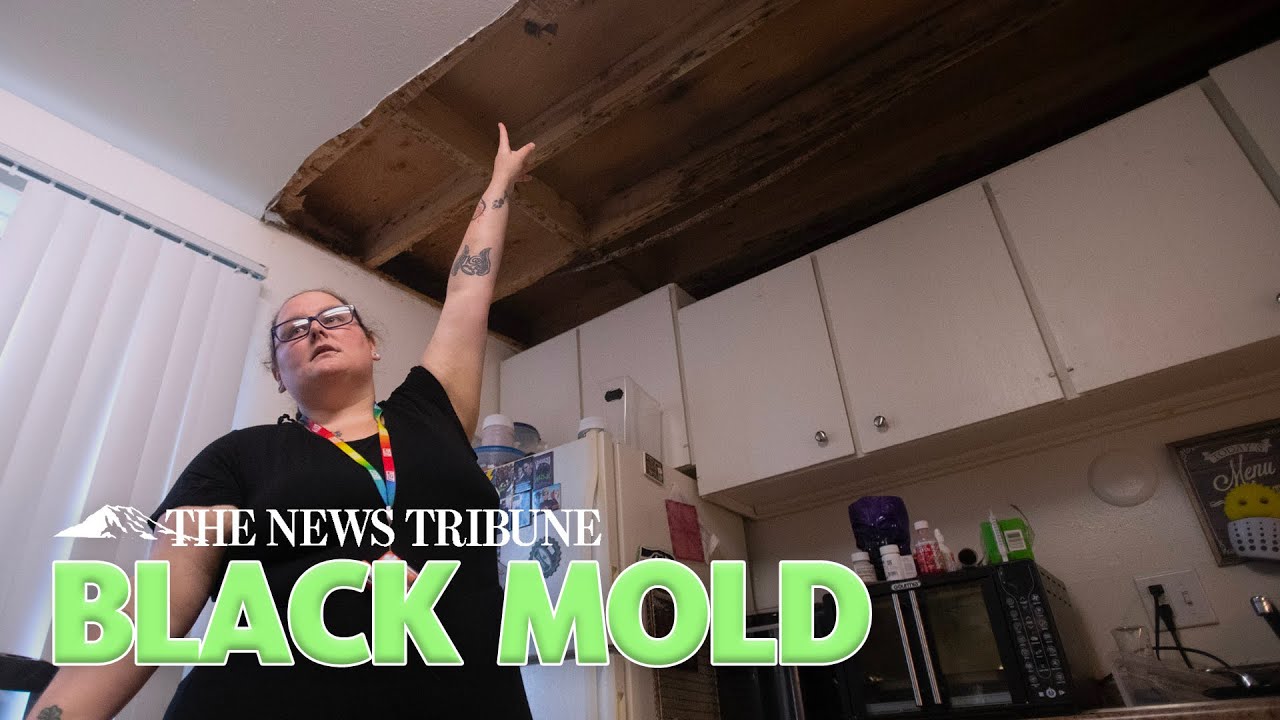 Water Damage at Lakewood Apartments Spawns Worries of Toxic Black Mold ...