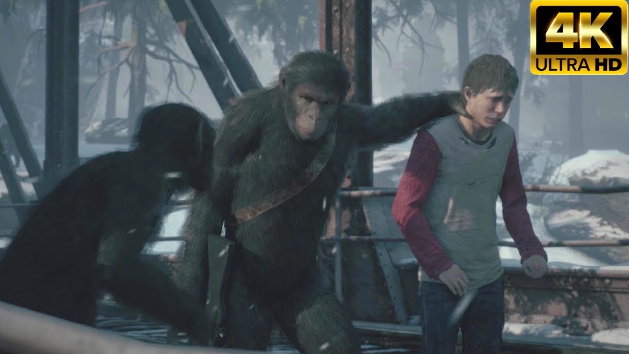 Apes Vs Humans Final Battle Scene (2024) - Planet Of The Apes - YouTube