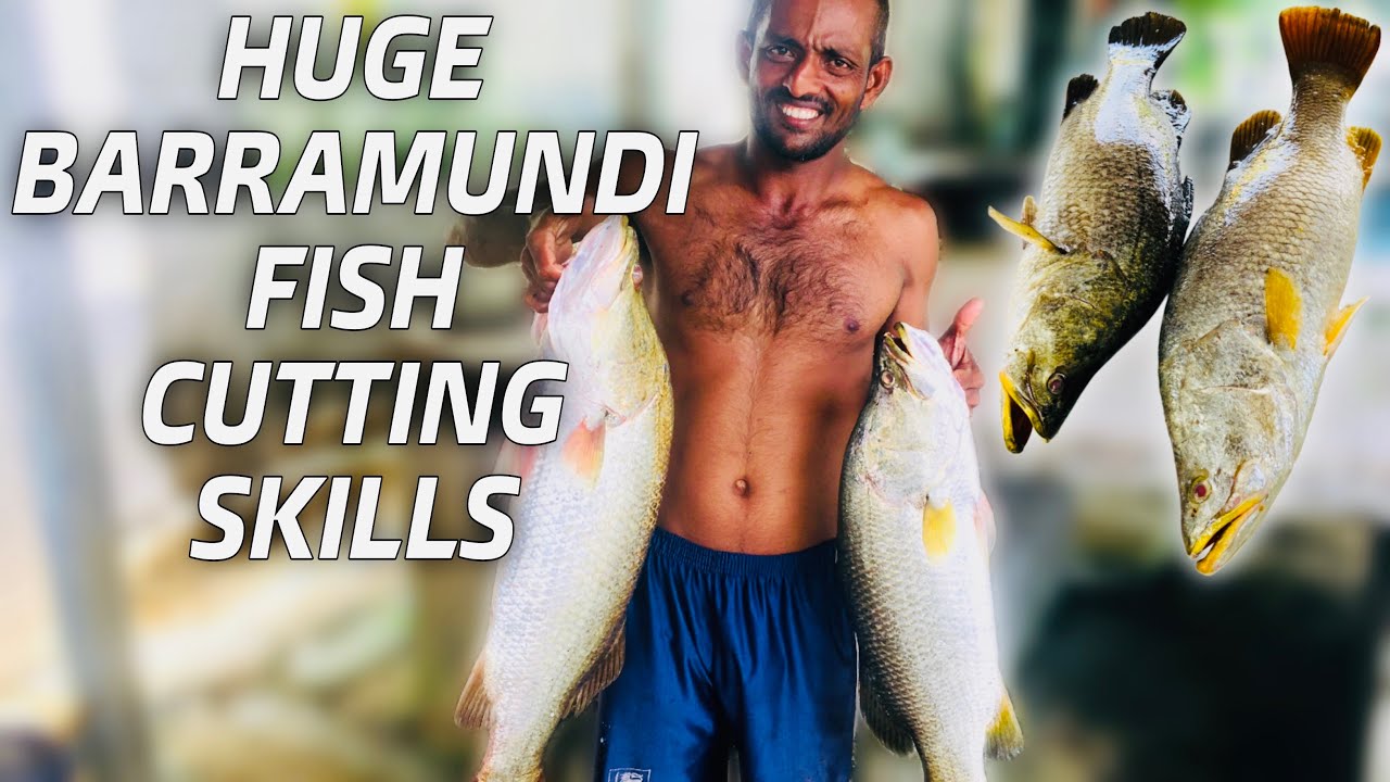 Fastest BARRAMUNDI Fish Cutting Skill | Beautiful BARRAMUNDI Fish ...
