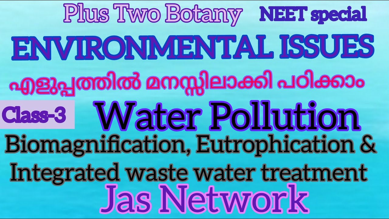 Plus Two Botany | Environmental Issues | Water pollution ...