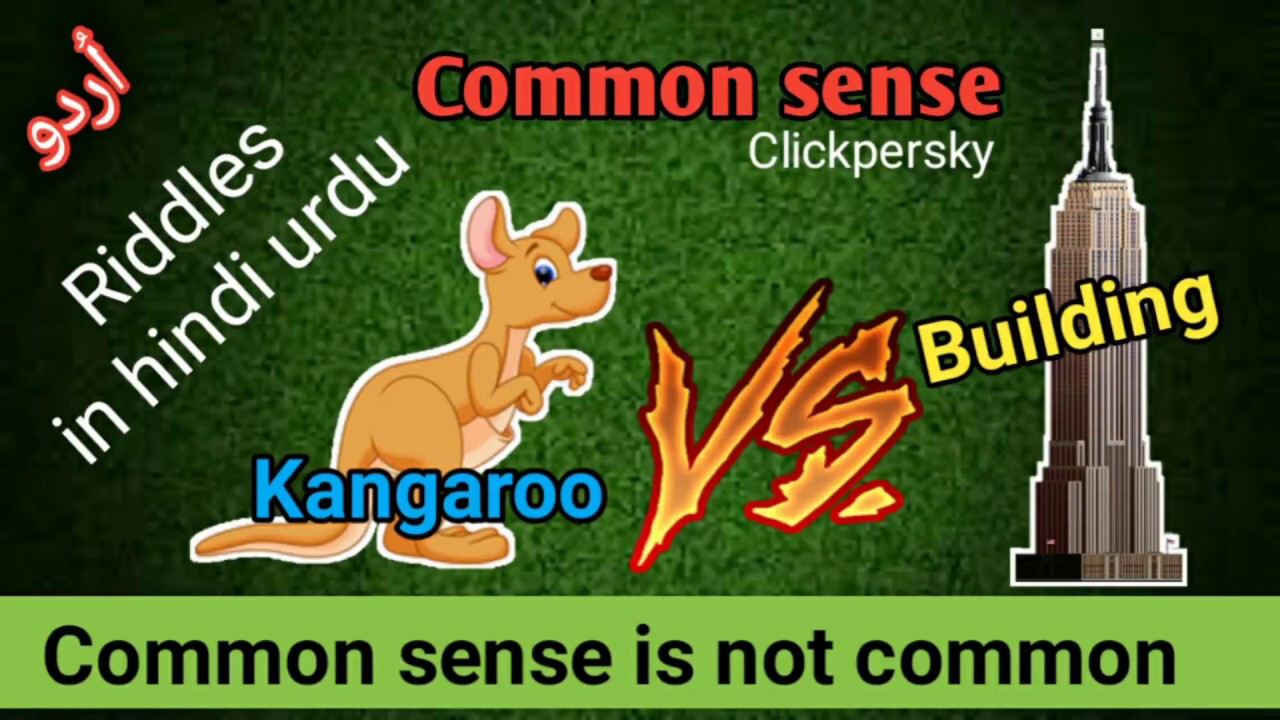Kangaroo vs Building Riddles in hindi urdu | clickpersky - YouTube