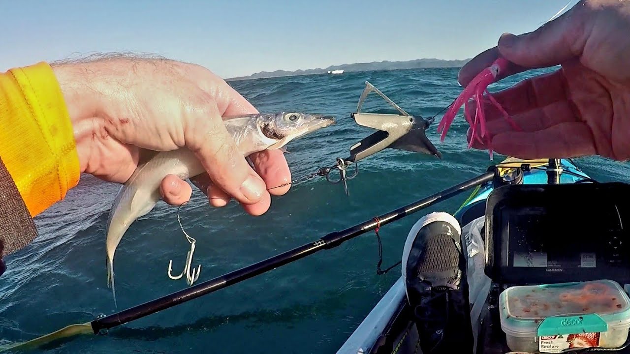 June Spanish - Reaper Rig #shorts - YouTube