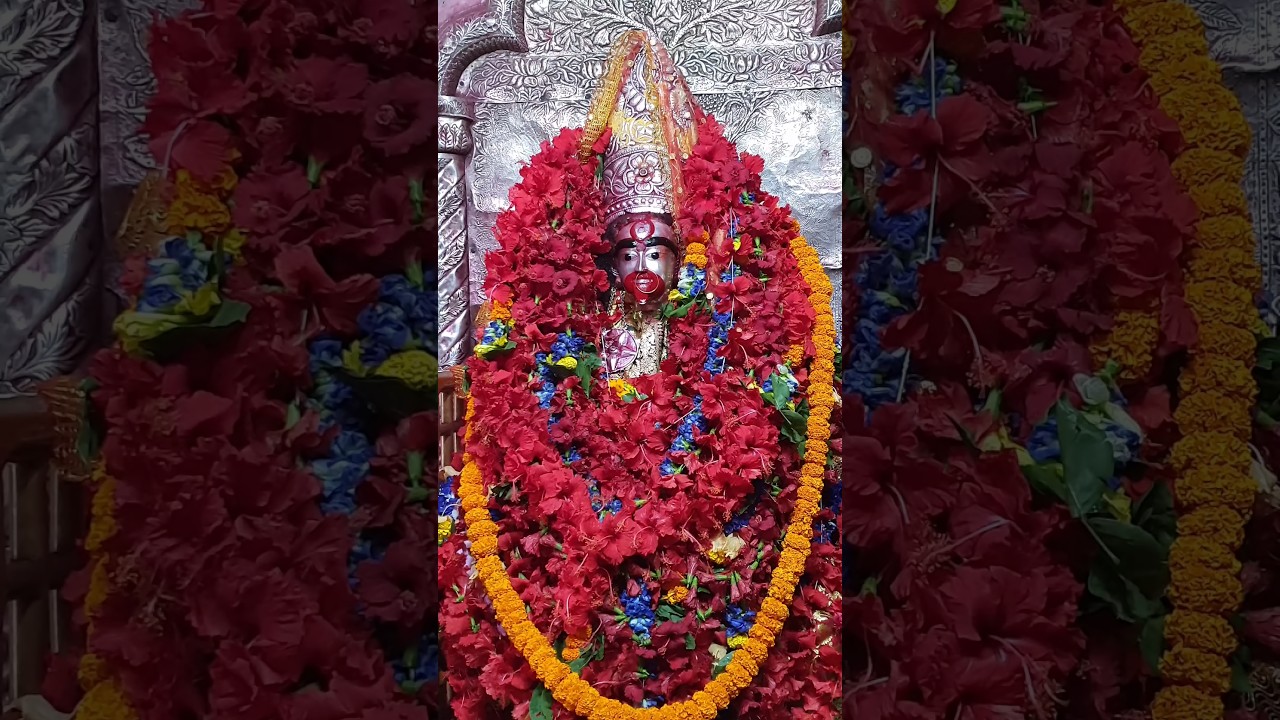 Joy tara ma#tara ma#shortsviral #subscribe 🙏🙏🙏🙏#please_subscribe_my ...