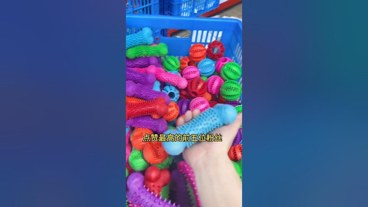 快把你家狗狗好看的照片发评论区拉布拉多 狗狗 萌宠 Youtube
