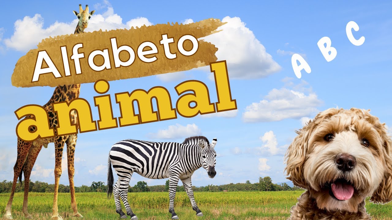 Alfabeto dos animais - ABC dos animais - Aprendendo o Alfabeto de forma ...