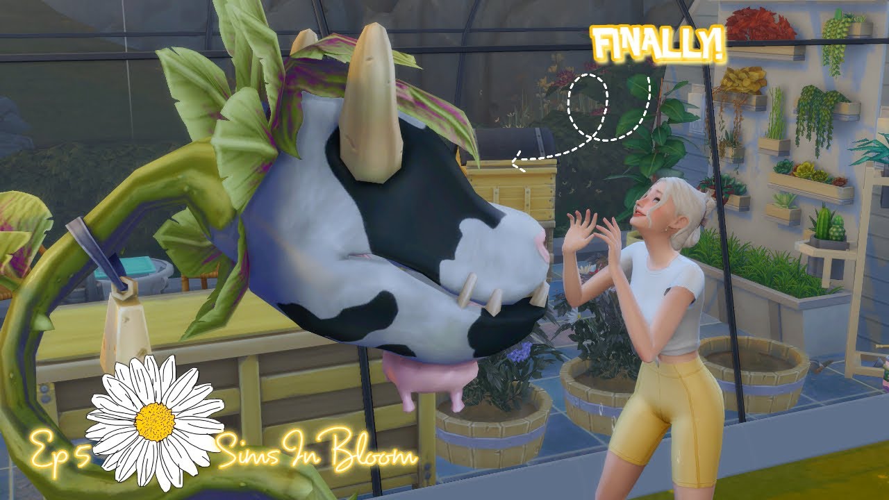 FINALLY FOUND A COWPLANT BERRY!🌼The Sims 4 - Sims In Bloom: Daisy 🌼 ...