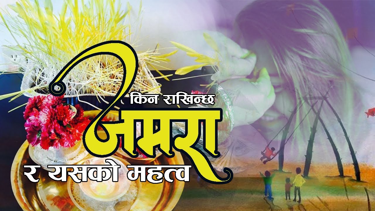 किन राखिन्छ जमरा ? जमराको महत्व के छ त ? What Are The Advantages Of ...