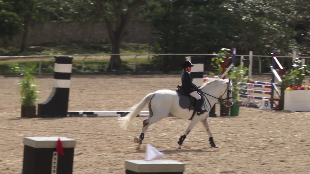 Phoebe Moore/ 75 cms 12 de enero - YouTube