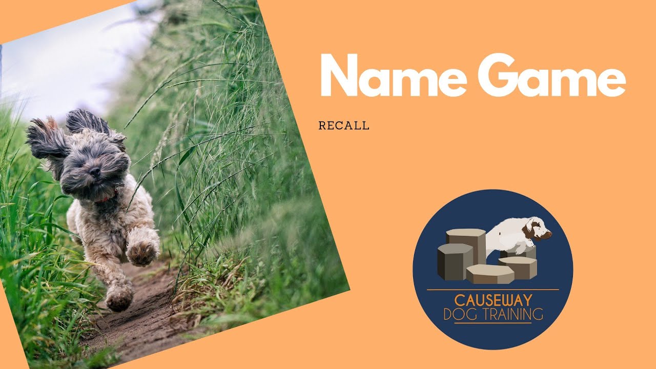 puppy-name-game-youtube