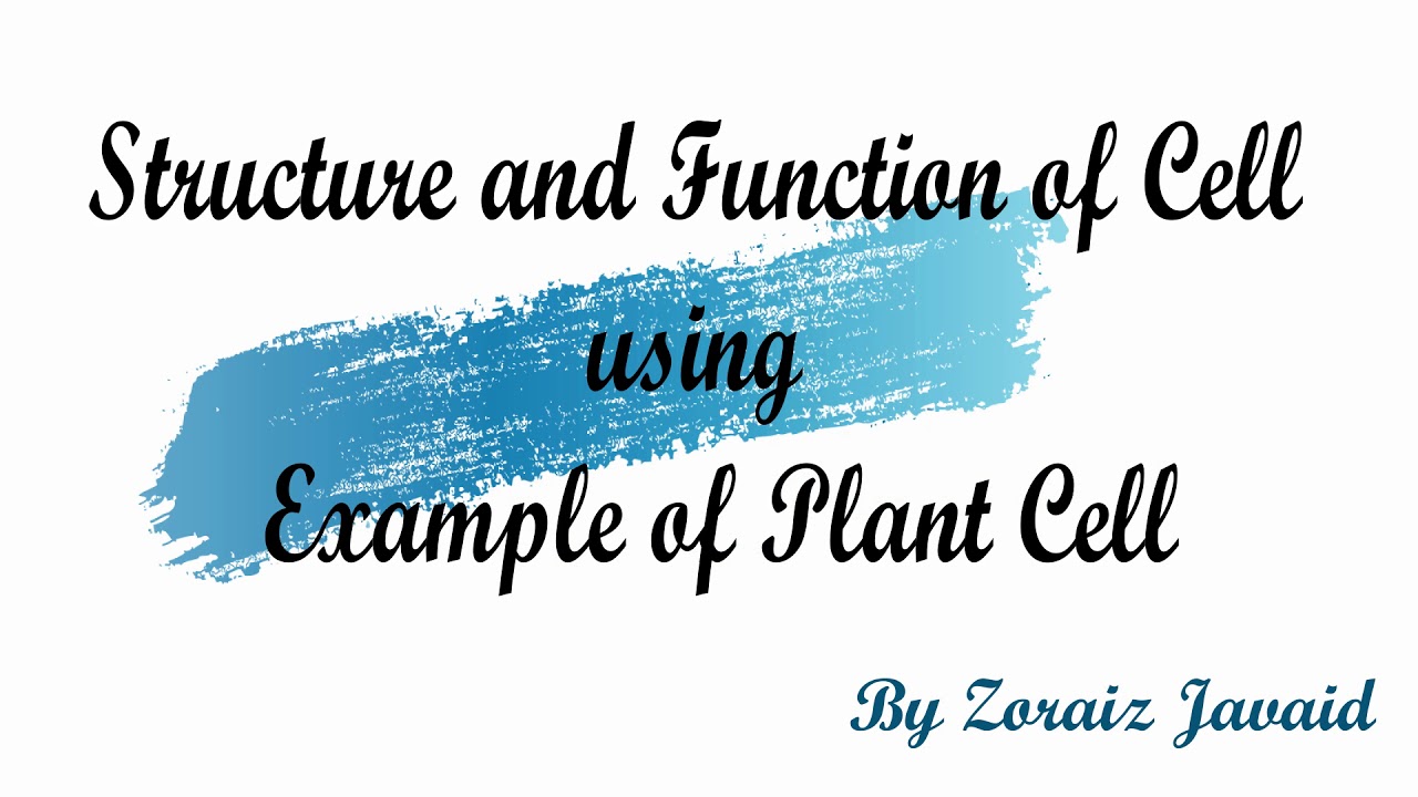 Science GED: Unit 2: Life Science - Lesson 1: Cell Structure and ...