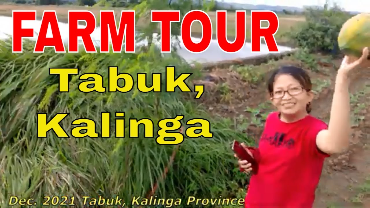 FARM TOUR | TABUK CITY, PROVINCE OF KALINGA - YouTube