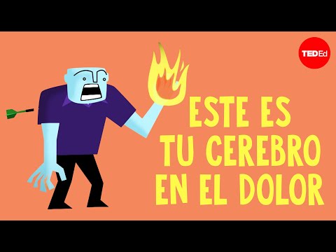 ¿Cómo responde tu cerebro al dolor? - Karen D. Davis