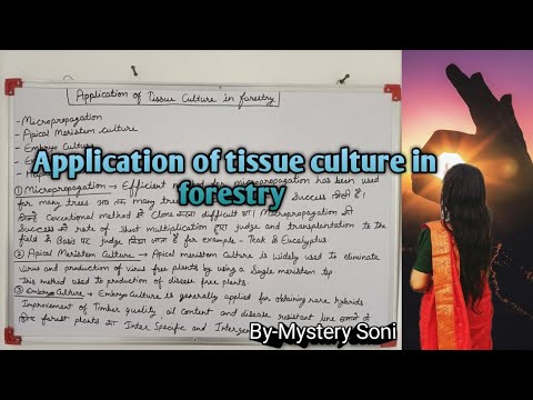 B.Sc./M.Sc.- Application of tissue culture in forestry - YouTube