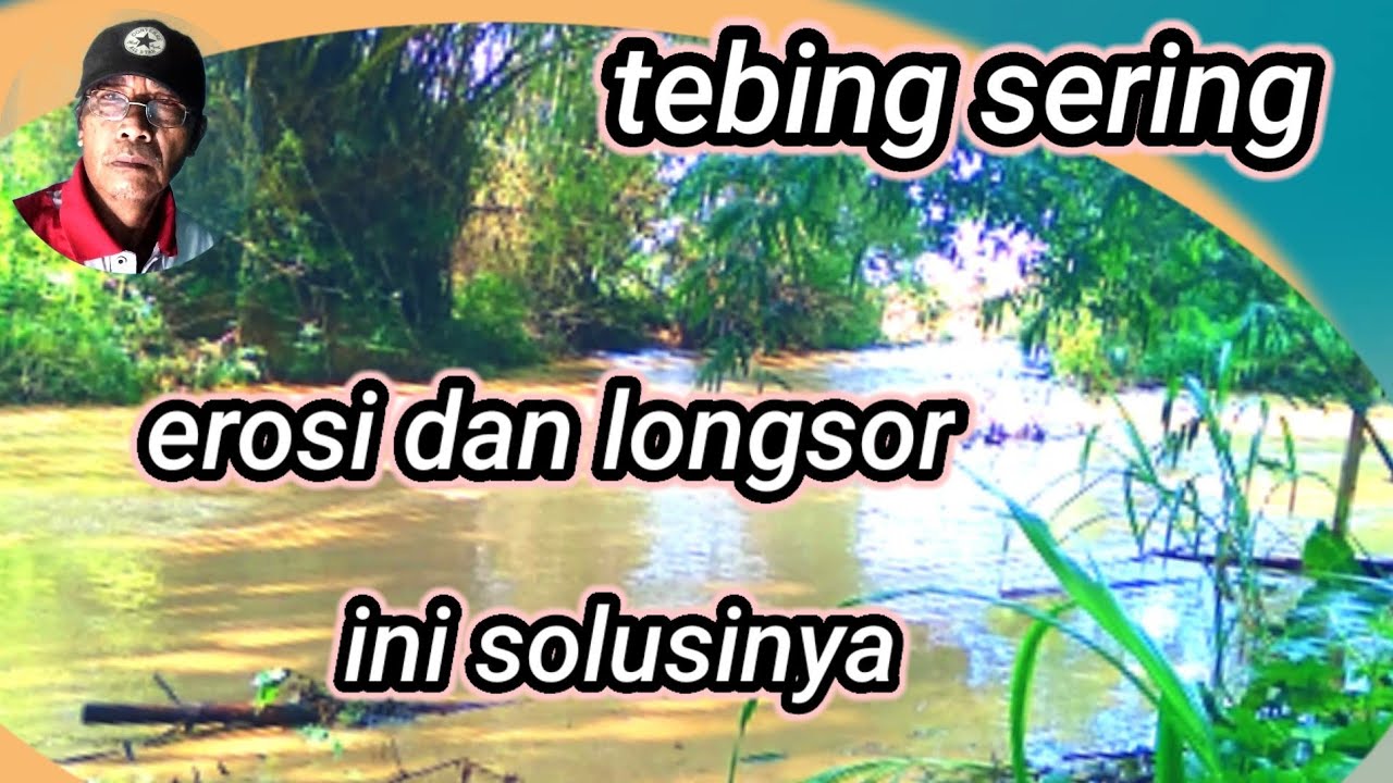 Bambu, Tanaman Pengendali Erosi Tebing Sungai - YouTube