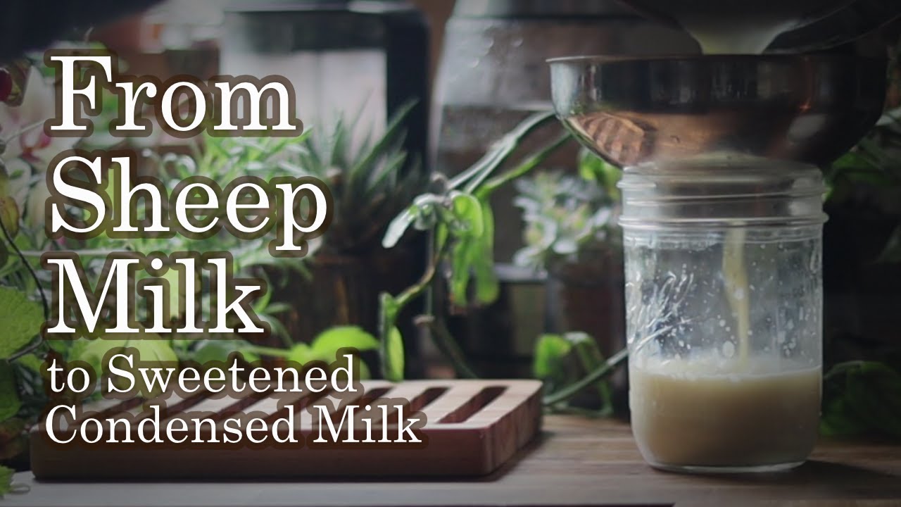 How to Make Sweetened Condensed Milk from Sheep MilkⅠEasier Than You ...