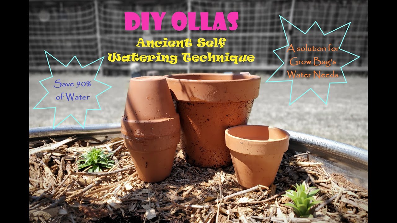 DIY OLLAS (An Ancient Self Watering Technique) - YouTube