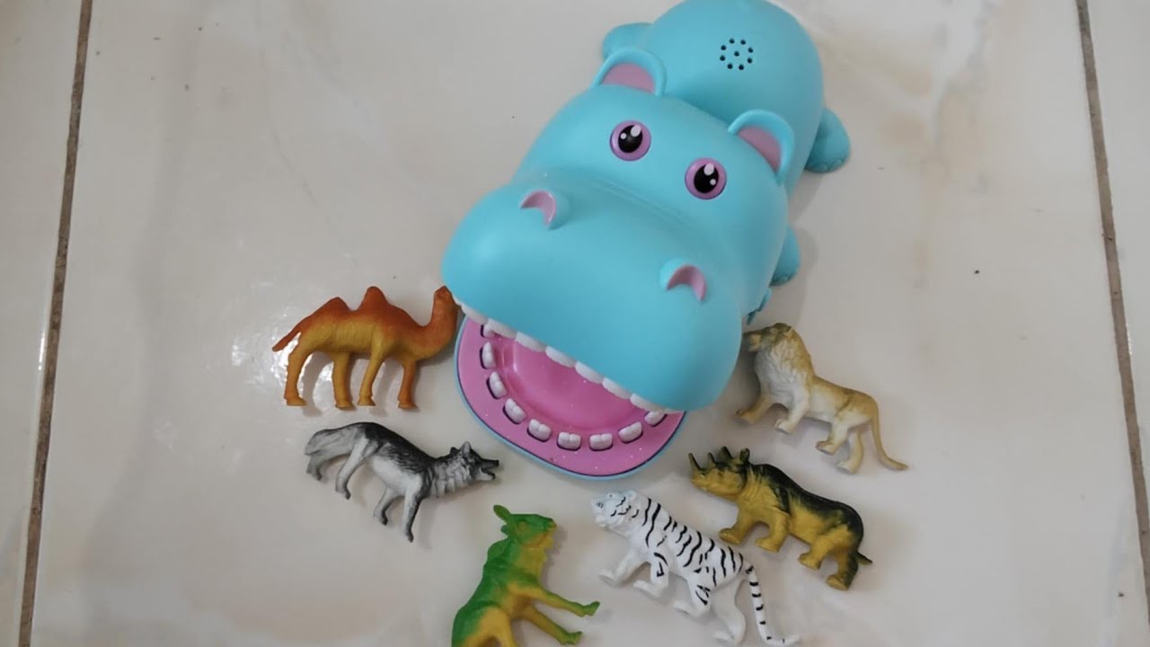 🔴 SATISFYING HIPPOPOTAMUS BITE'S ASMR SOUND'S.... - YouTube