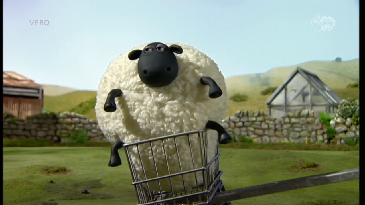 Shaun het schaap - Bewegen Met Shaun - YouTube