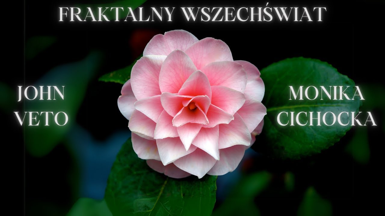 FRAKTALNY WSZECHŚWIAT | Monika Cichocka, John Veto - YouTube