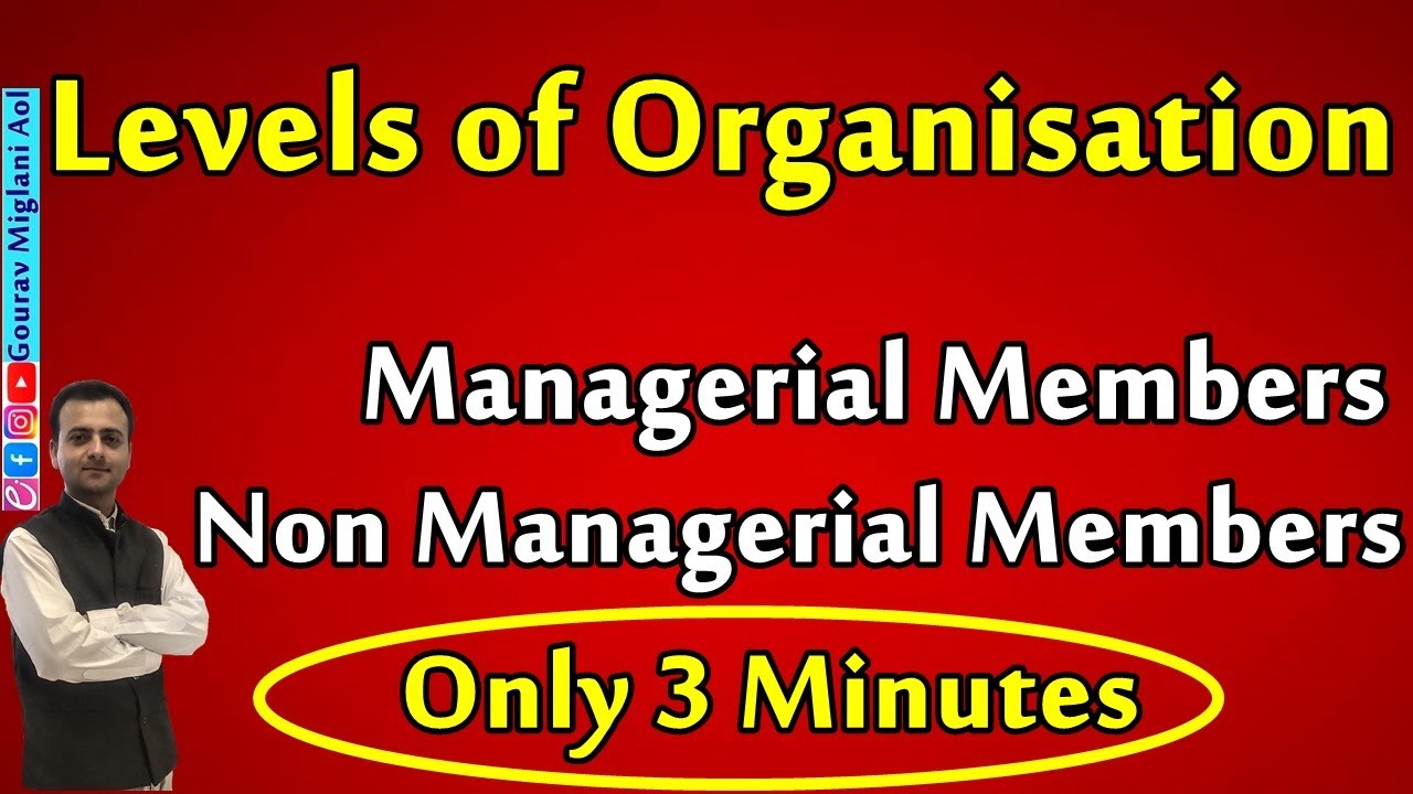 Levels of Organisation , Managerial Members and Non Managerial Members ...