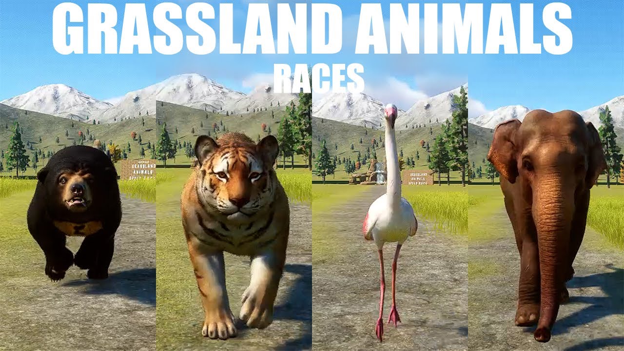 Grassland Animals Speed Races in Planet Zoo included Indian Elephant ...