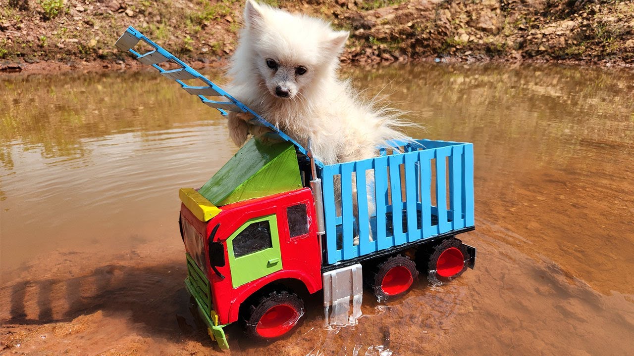 How to make DIY dump truck to transport a small cute dog- Creative DIY ...