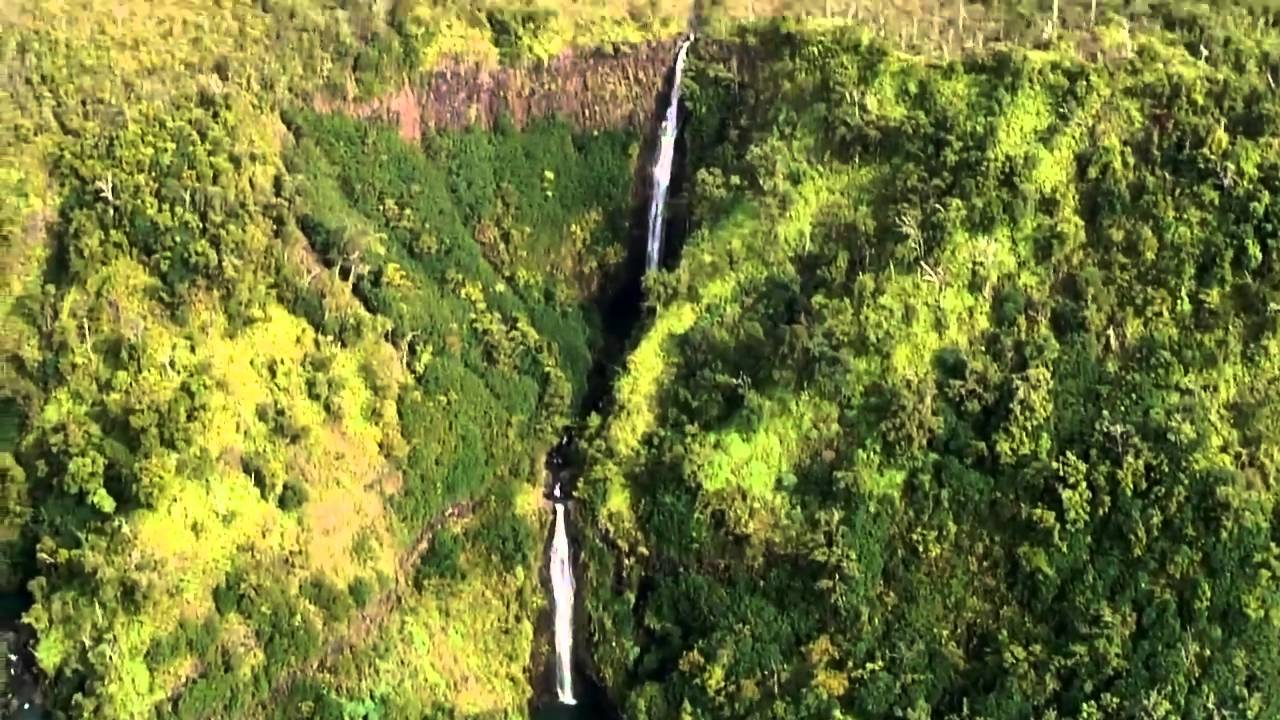 Birds In Paradise - Manawai'o'puna Falls - YouTube